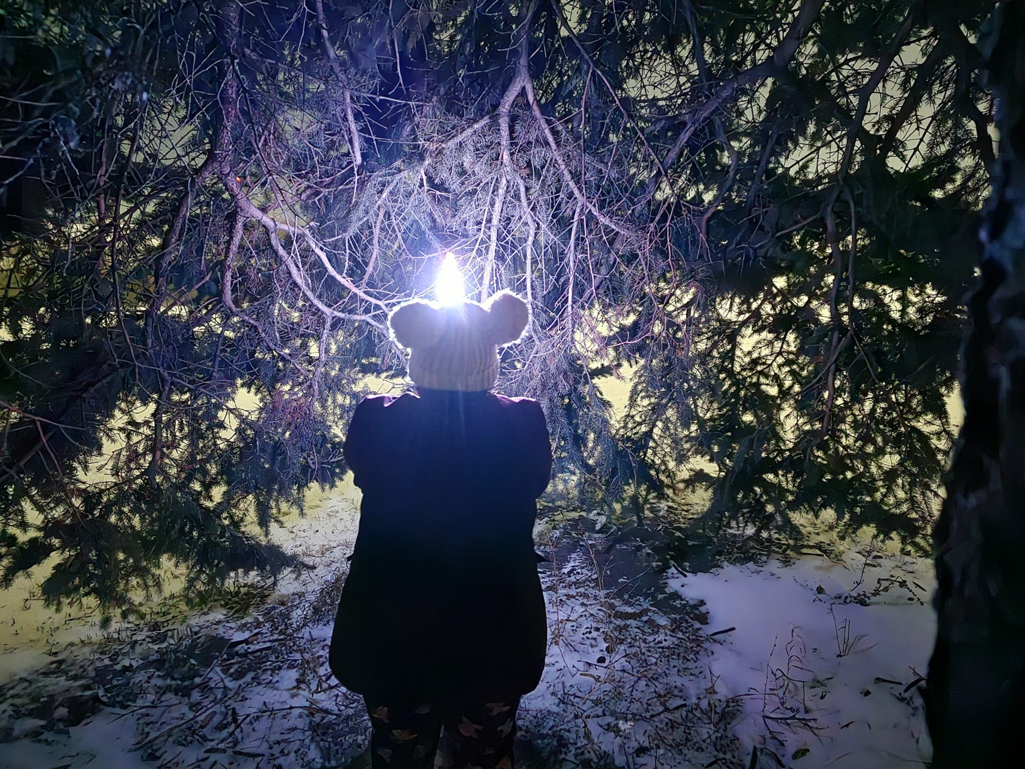 Taking a Walk at Night with Wizard Tag Wands and Starlight Mode ...