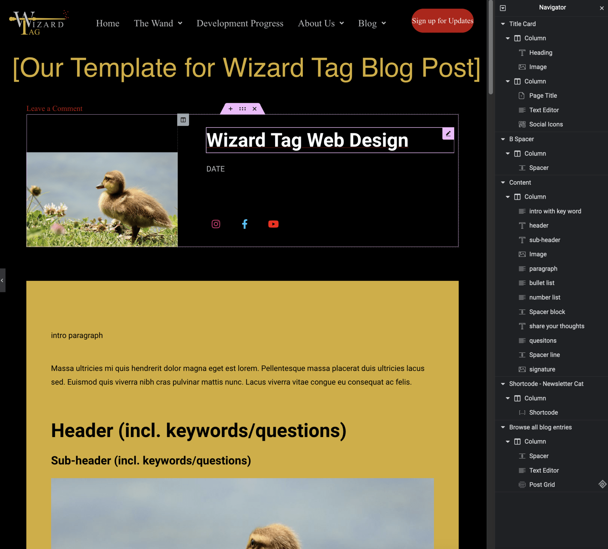 WIZARD TAG – It's Laser Tag for Wizards